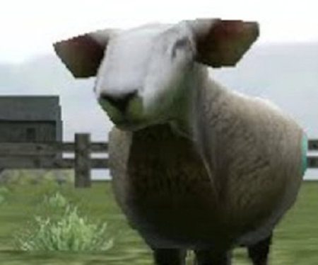 Crazy Cattle 3D Unblocked - Chrome Online Games - Game Pluto