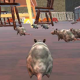 Cheese Chompers 3D Unblocked - Chrome Online Games - Game Pluto